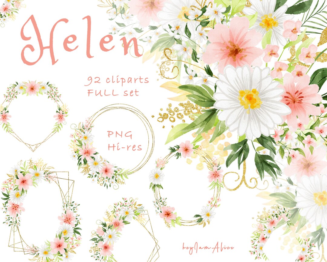 DAISY Floral Watercolor Clipart, White Pink Floral, FREE Commercial Use ...