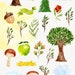 Woodland Nursery Clipart, FREE COMMERCIAL Use, Woodland Animals ...