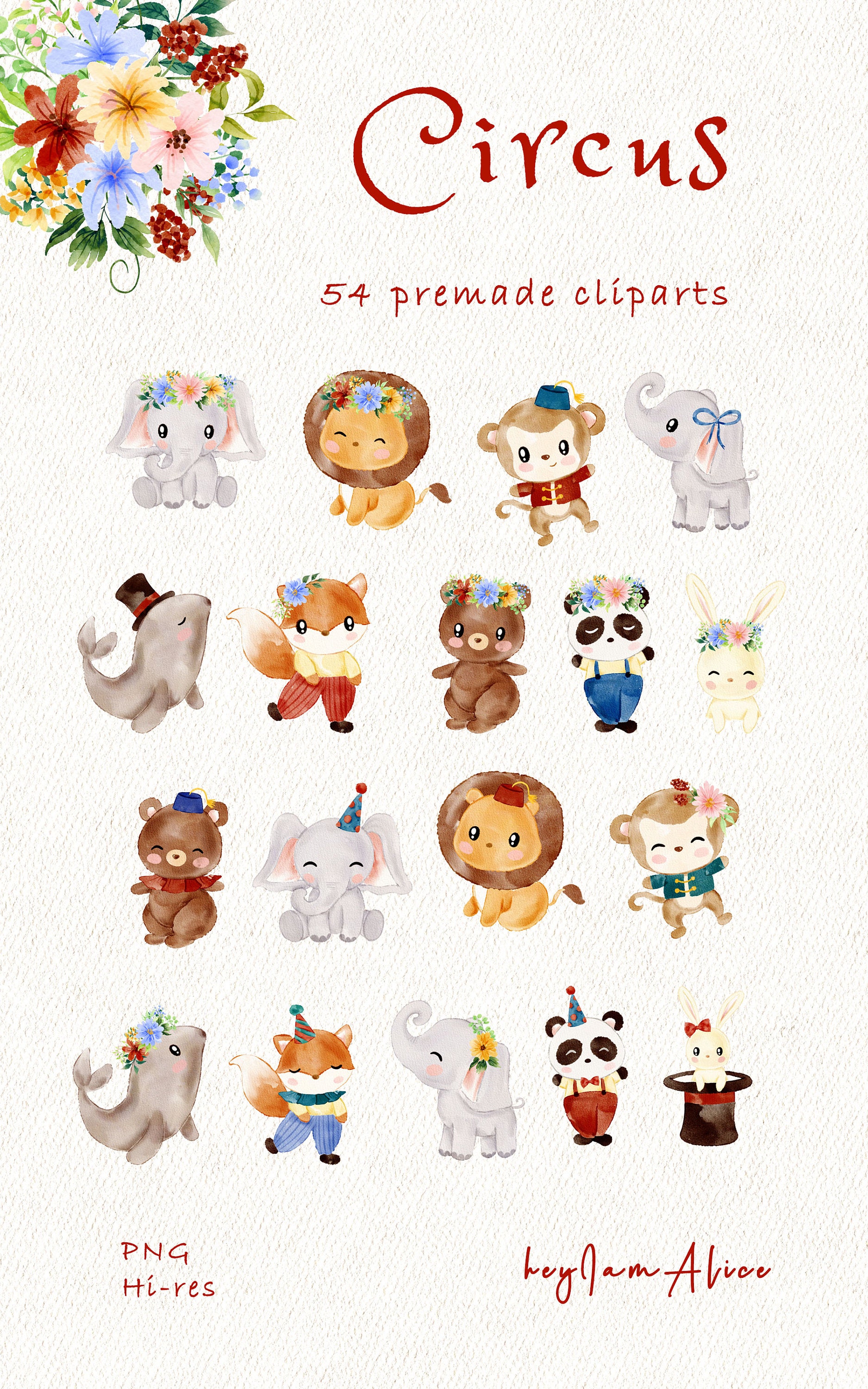 Circus Watercolor Clipart Red Circus Graphics Baby Animal - Etsy