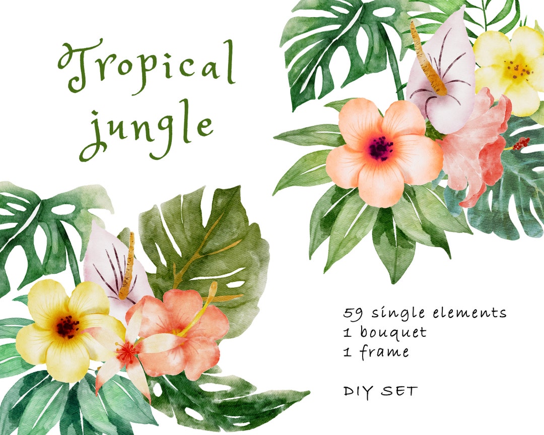 DIY Set Tropical Jungle Flower Watercolor Clipart, Free Commercial Use ...