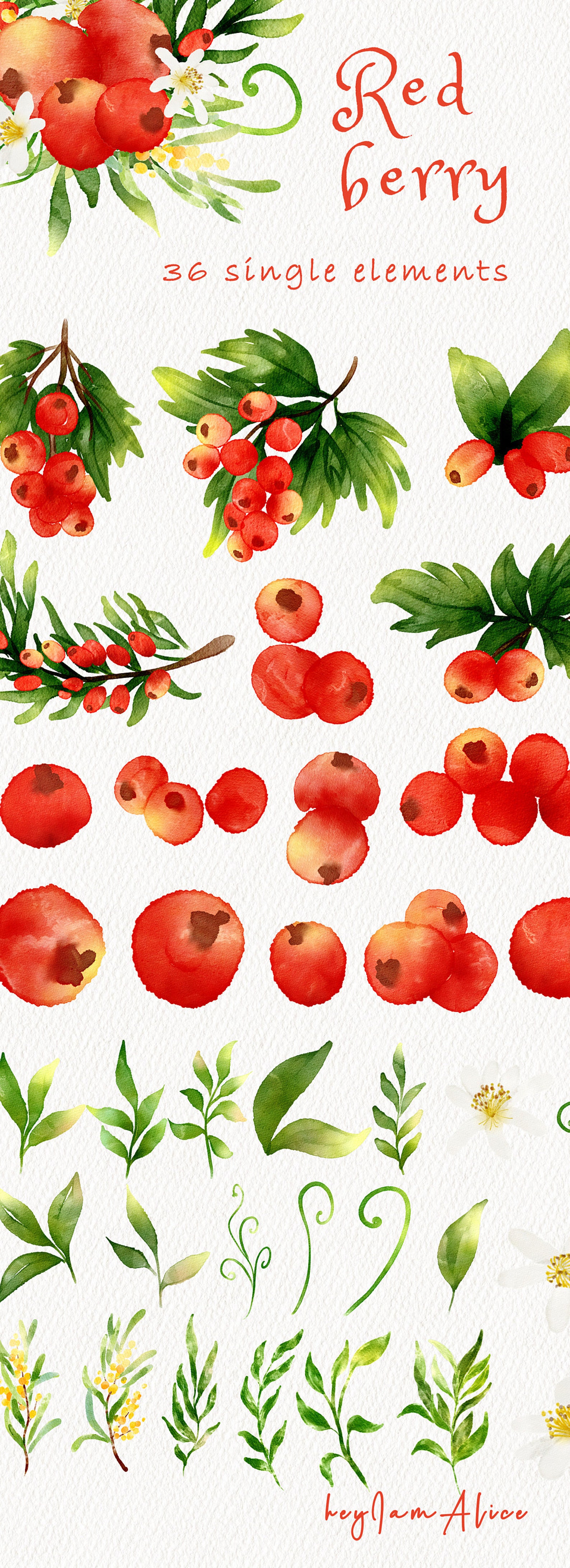 Watercolor Red Berry Clipart Wild Red Berry Clipart Png FREE | Etsy