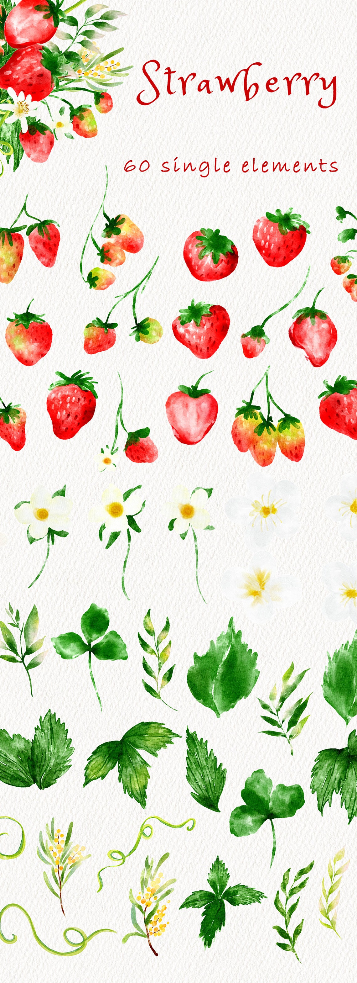 Watercolor Strawberry Clipart DIY Set Fruit Strawberry | Etsy