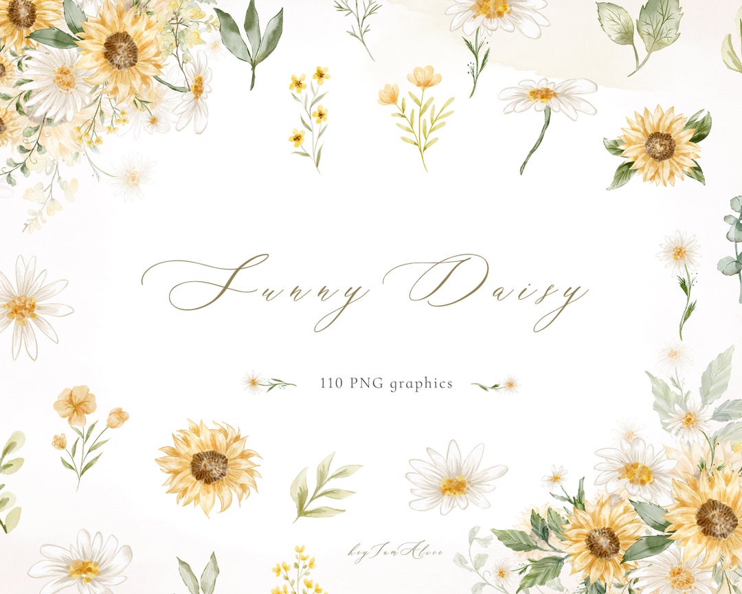 DAISY Sunflower Floral Watercolor Clipart, Sunflower Graphic PNG, Daisy ...