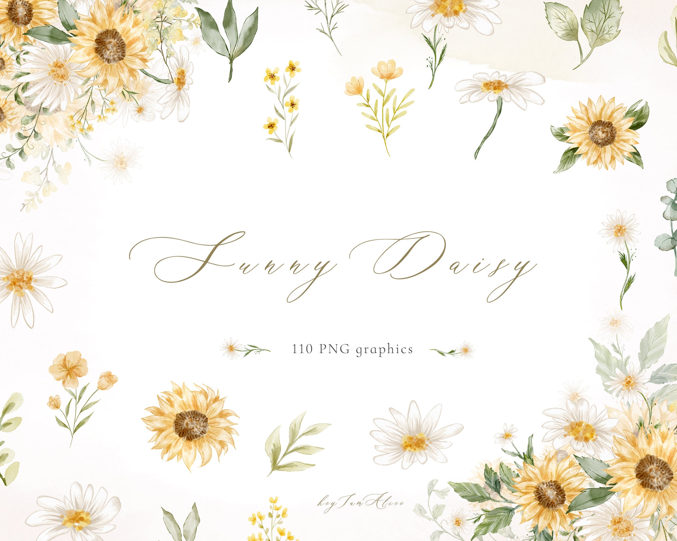 DAISY Sunflower Floral Watercolor Clipart Sunflower Graphic - Etsy