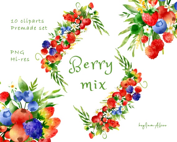 Watercolor Berry Clipart Wild Berry Clipart Png FREE | Etsy