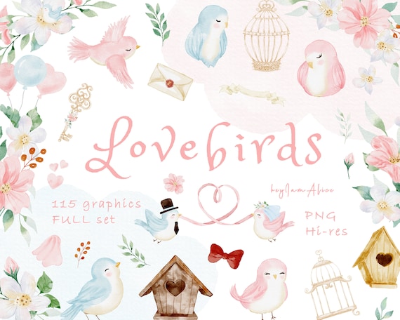 Love Birds Clipart PNG Valentine Watercolor Clipart PNG - Etsy