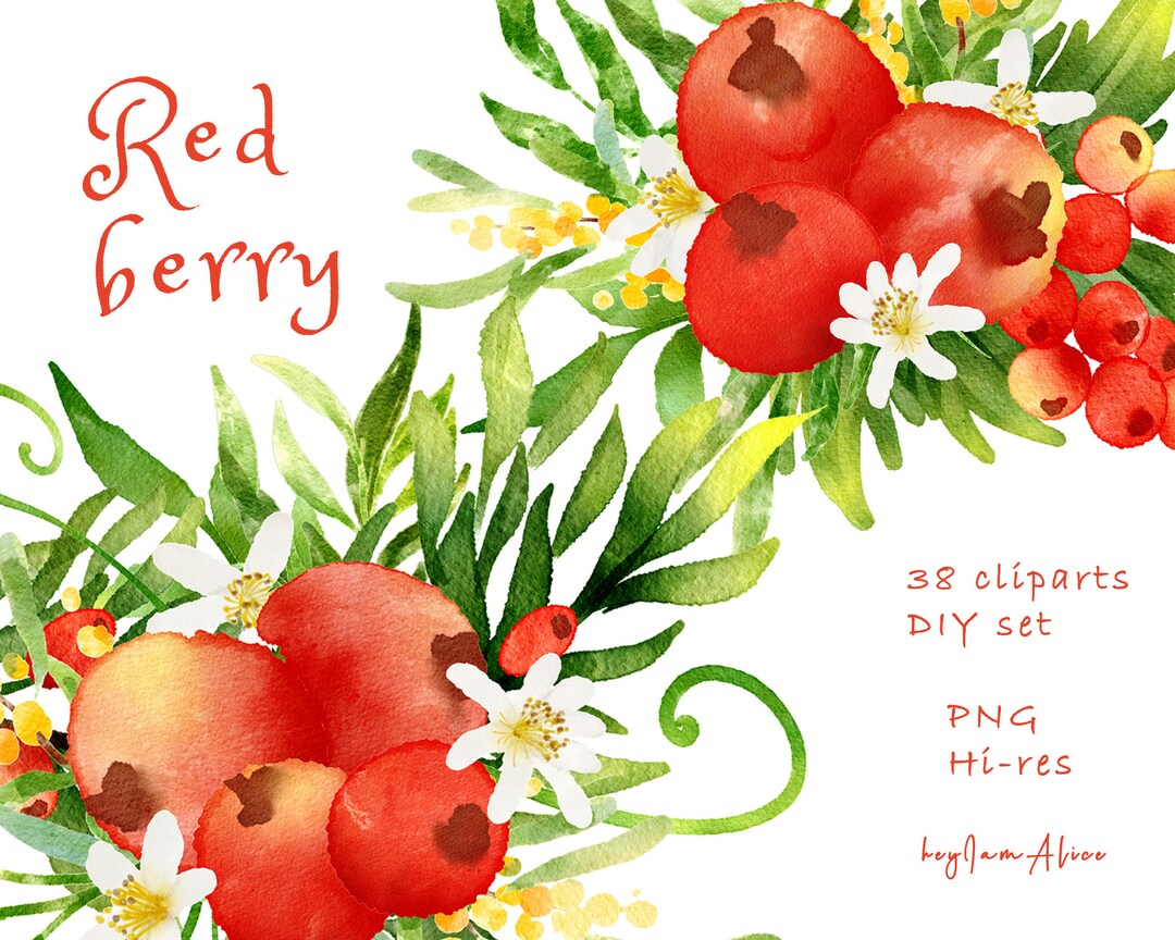 Watercolor Red Berry Clipart, Wild Red Berry Clipart Png, FREE ...