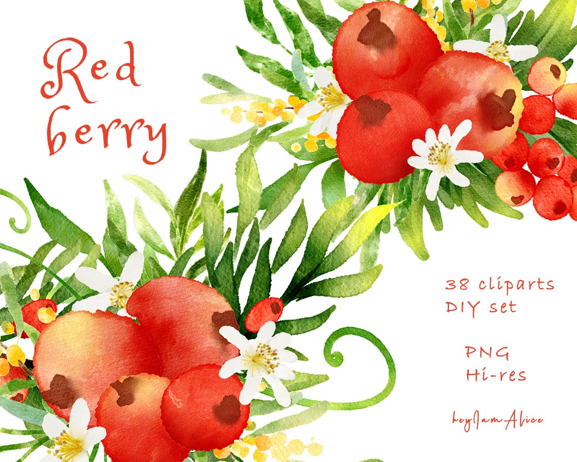 Watercolor Red Berry Clipart Wild Red Berry Clipart Png FREE | Etsy