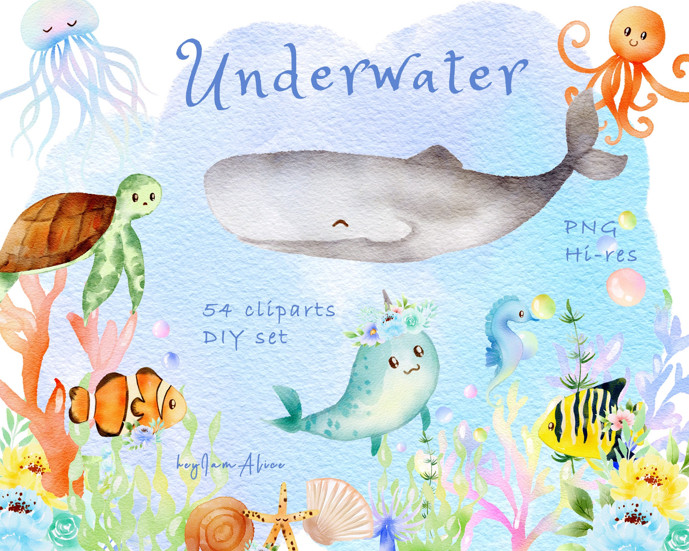 Sea ocean underwater life clipart Dolphin whale jellyfish sealion ...