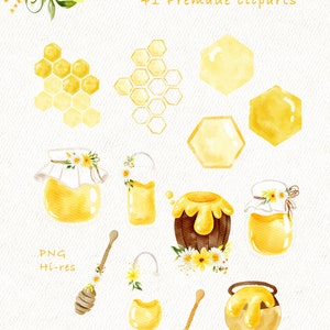 Bee and Honey Watercolor Clipart, Little Animal Clipart, Free ...