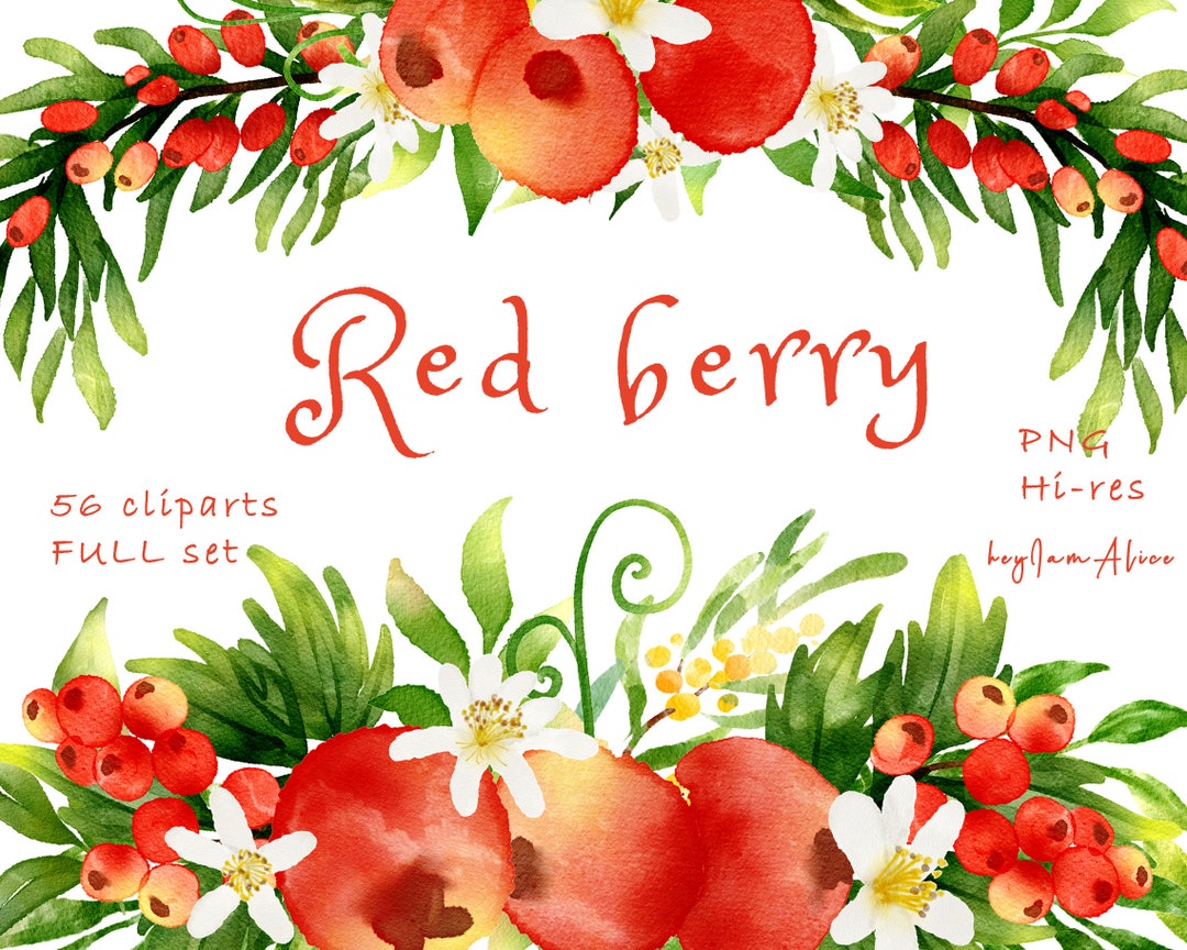 Watercolor Red Berry Clipart, Wild Red Berry Clipart Png, FREE ...