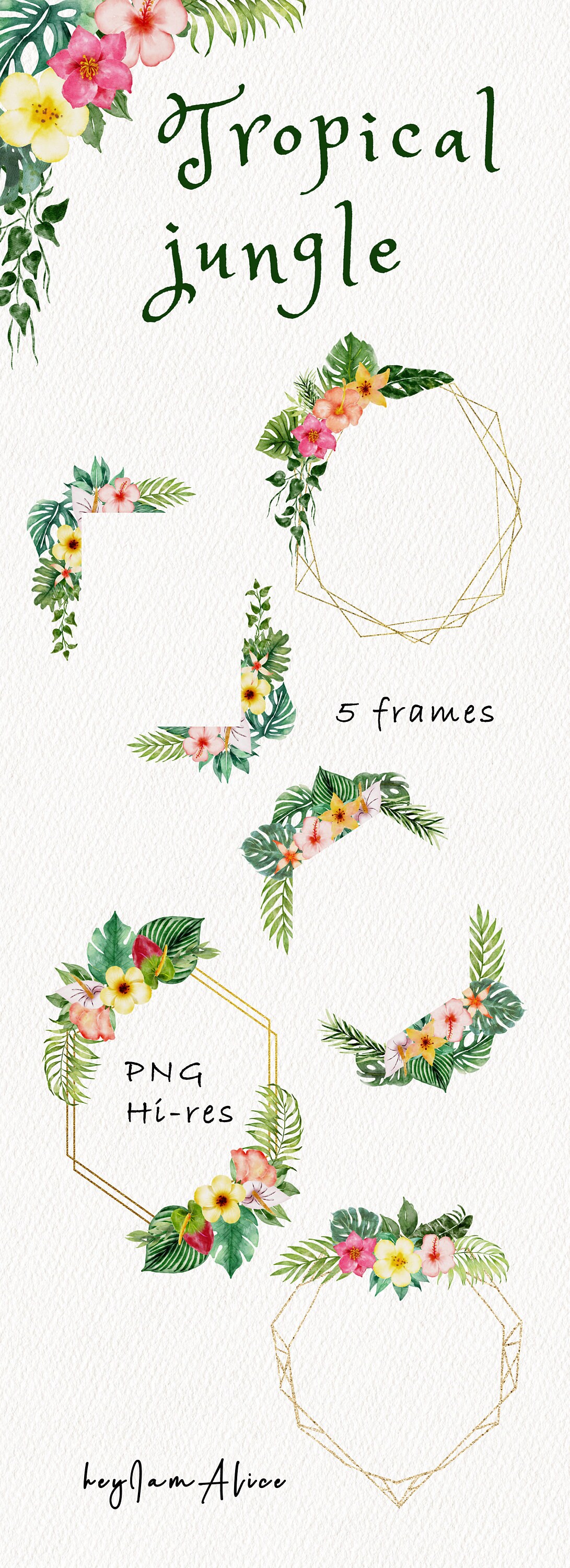 Tropical Jungle Flower Watercolor Clipart Free Commercial - Etsy