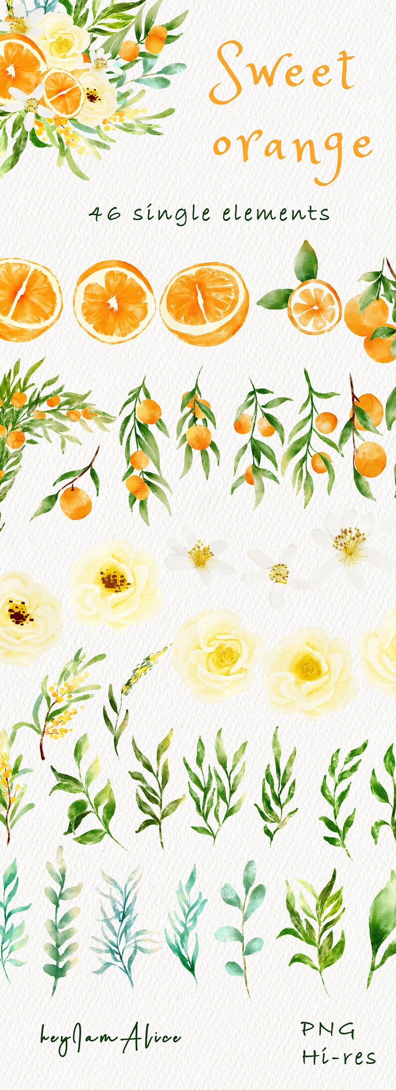 Watercolor Orange Clipart Fruit Citrus Orange Clipart FREE - Etsy