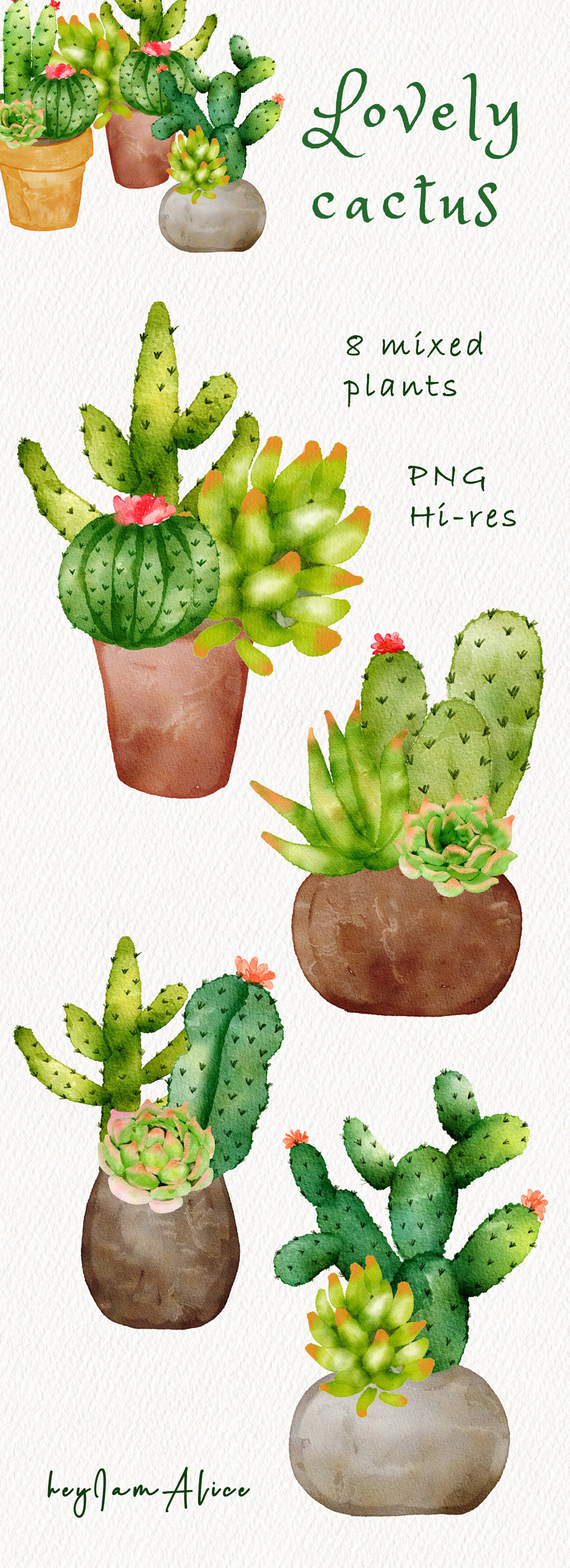 Watercolor Cactus Clipart FREE COMMERCIAL Use Tropical - Etsy