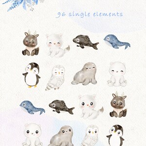 Arctic Animal Watercolor Clipart, Winter Holiday Graphic, Baby Polar ...