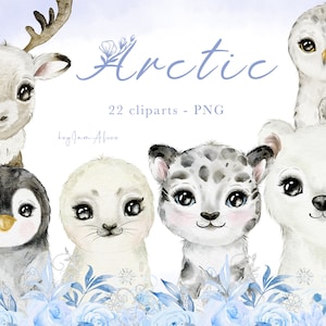 Arctic Animal Watercolor Clipart, Winter Holiday Graphic, Baby Polar ...