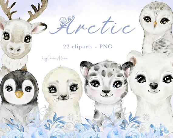Arctic Animal Watercolor Clipart Winter Holiday Graphic Baby | Etsy