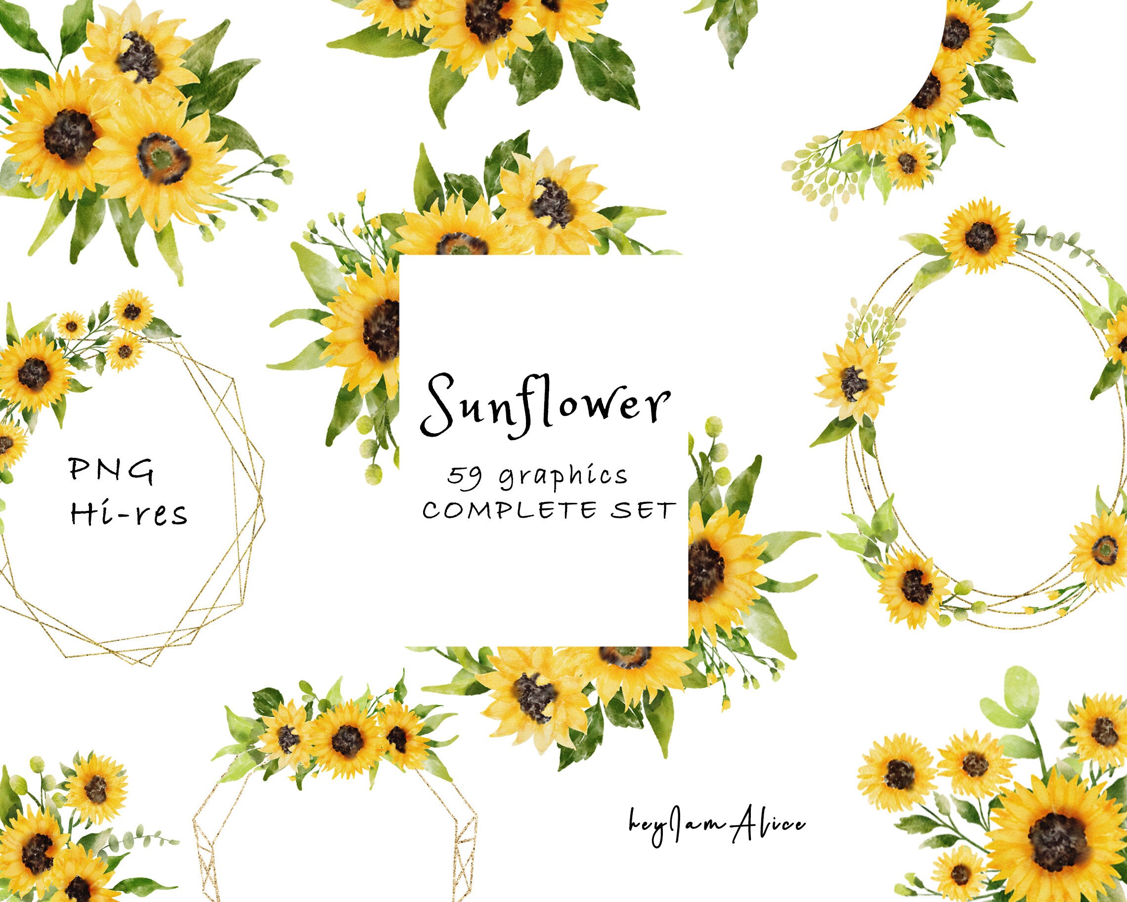 COMPLETE SET Sunflower Watercolor Clipart FREE Commercial - Etsy