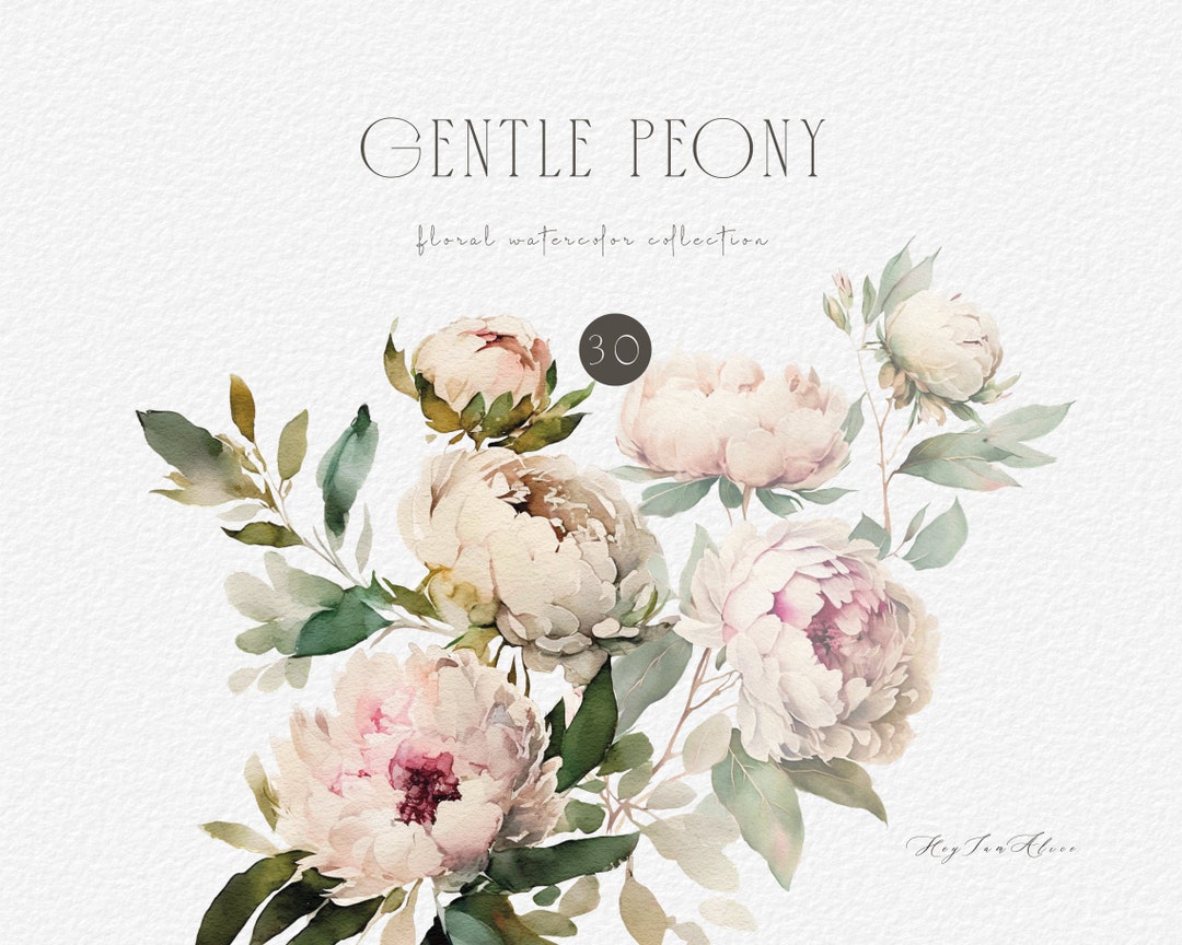 Pink Peony Flower Watercolor Clipart, Soft Pink Delicate PNG, Floral ...