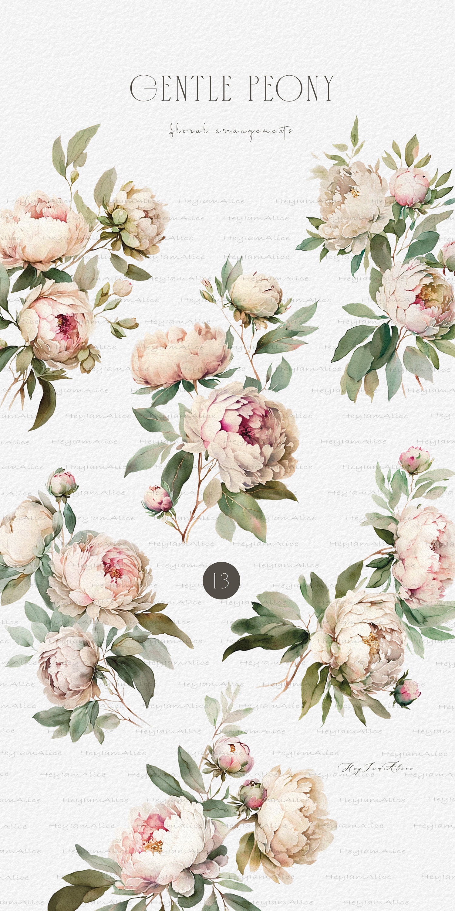 Pink Peony Flower Watercolor Clipart, Soft Pink Delicate PNG, Floral ...