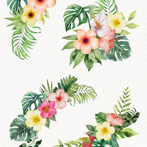 COMPLETE SET Tropical Jungle Flower Watercolor Clipart, Free Commercial ...