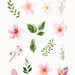 Pink Purple Flower Watercolor Clipart, Soft Pink Floral PNG, Free ...