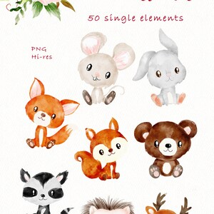 Baby Woodland Animal Clipart, Watercolor Little Animal, Free Commercial ...