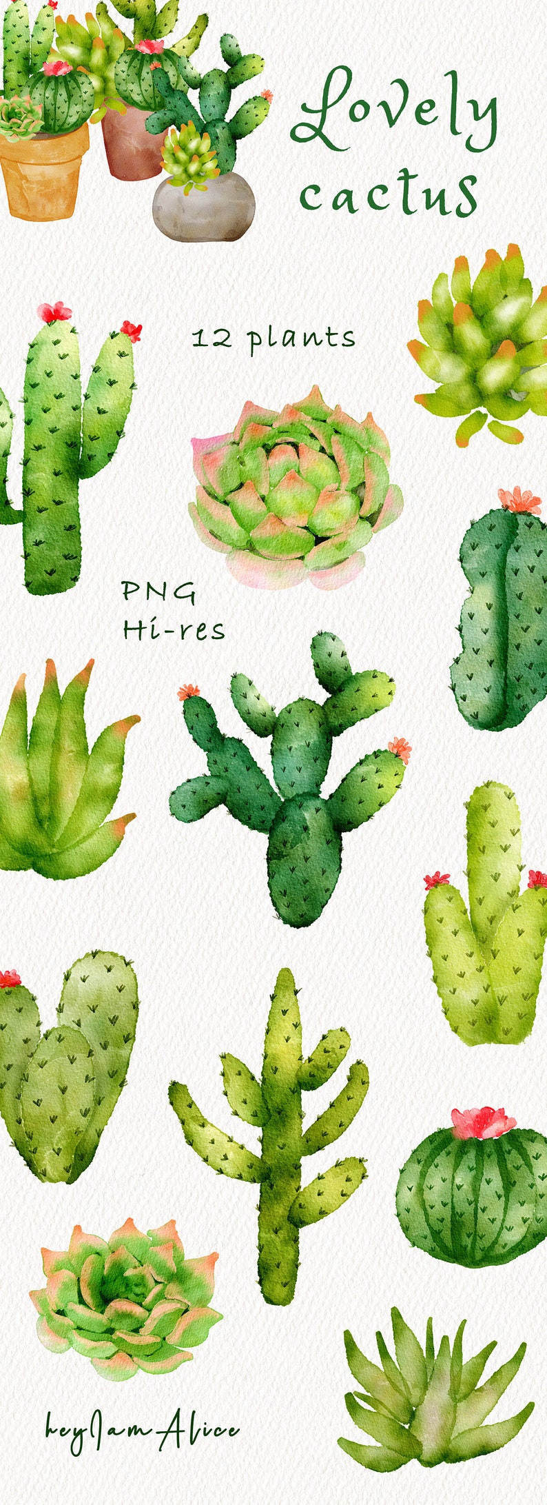 Watercolor Cactus Clipart FREE COMMERCIAL Use Tropical - Etsy