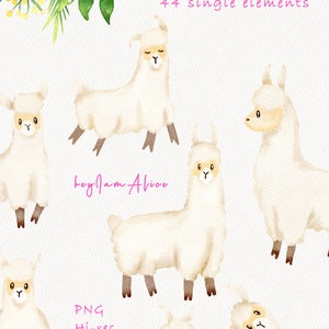 Llama Watercolor Clipart, Alpaca Clipart, FREE COMMERCIAL Use, Cactus ...