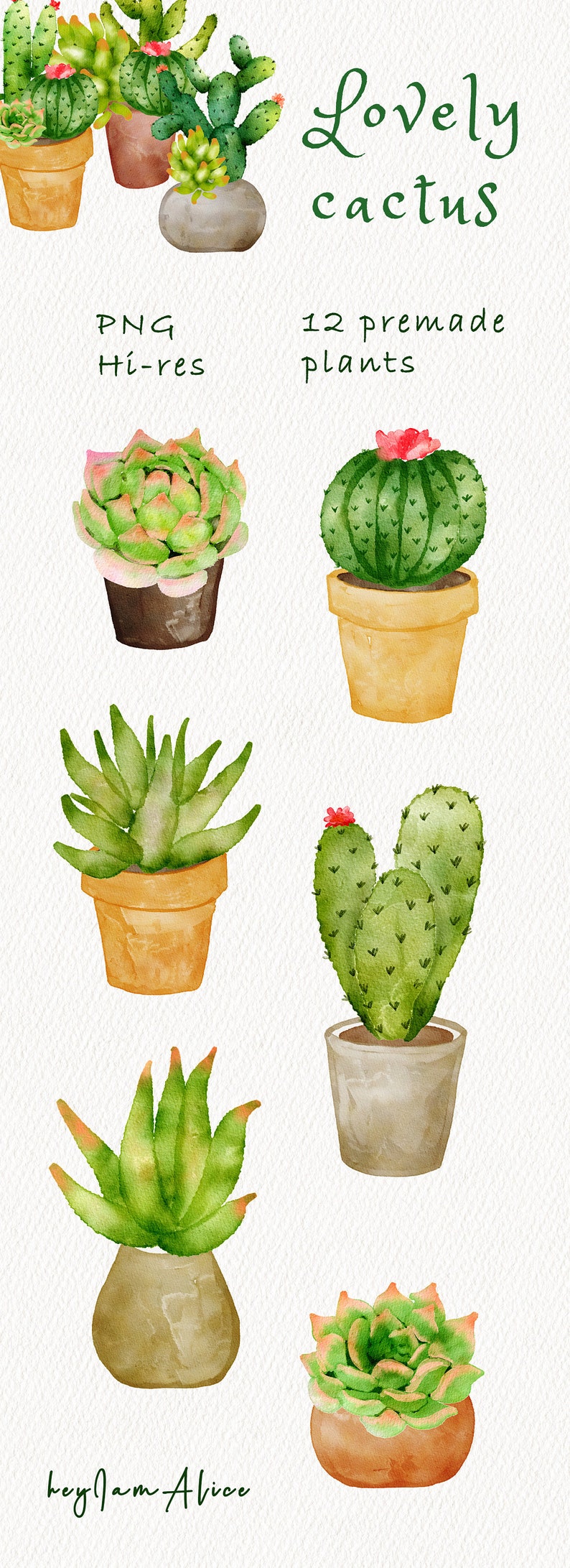 Watercolor Cactus Clipart FREE COMMERCIAL Use Tropical - Etsy