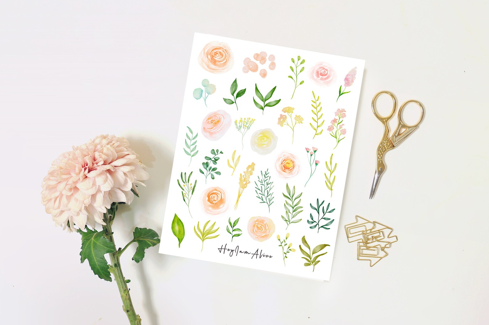 Creamy Orange Digital Sticker PRINTABLE Sticker Sheet | Etsy