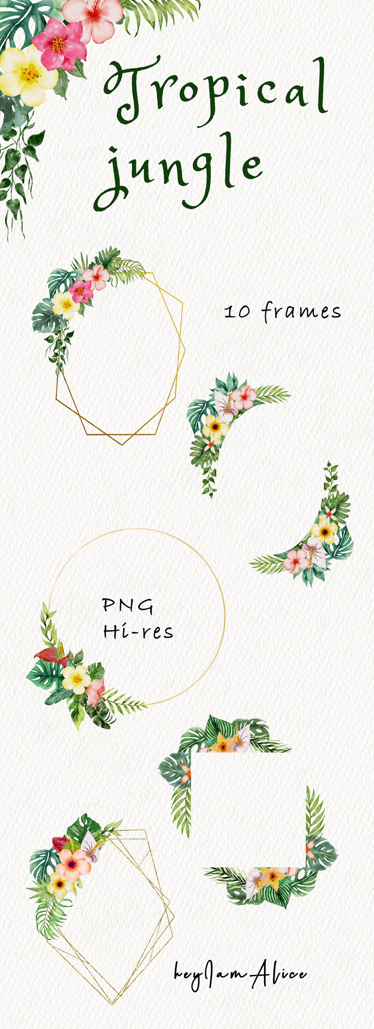 COMPLETE SET Tropical Jungle Flower Watercolor Clipart Free | Etsy