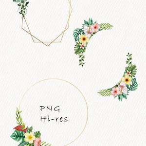 COMPLETE SET Tropical Jungle Flower Watercolor Clipart, Free Commercial ...