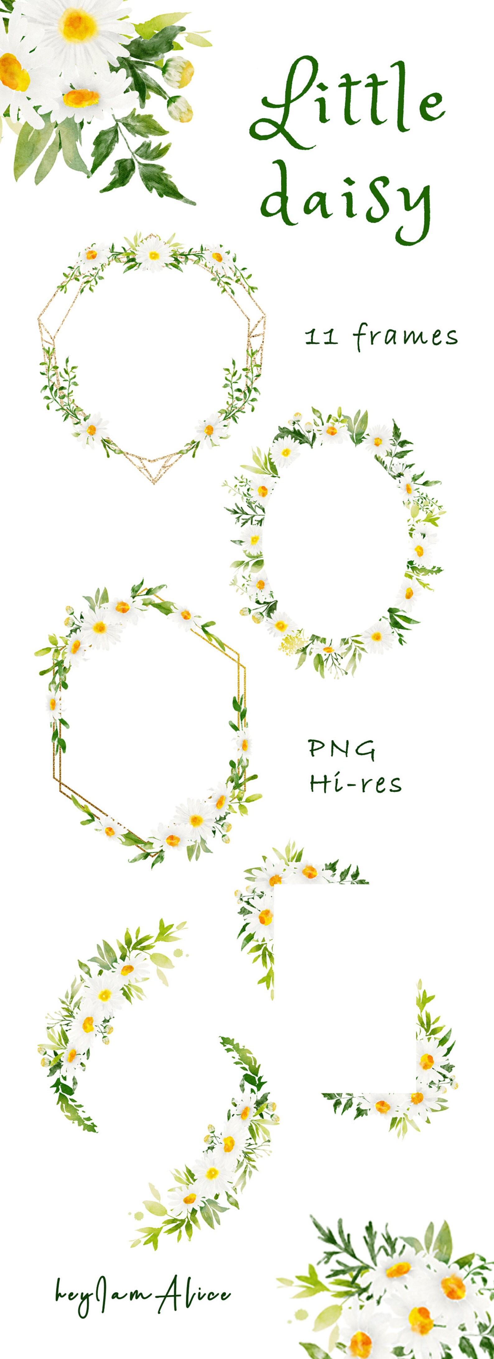 DAISY Floral Watercolor Clipart, Complete Collection, FREE Commercial ...