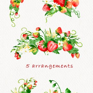 Watercolor Strawberry Clipart, Fruit Strawberry Clipart, FREE ...