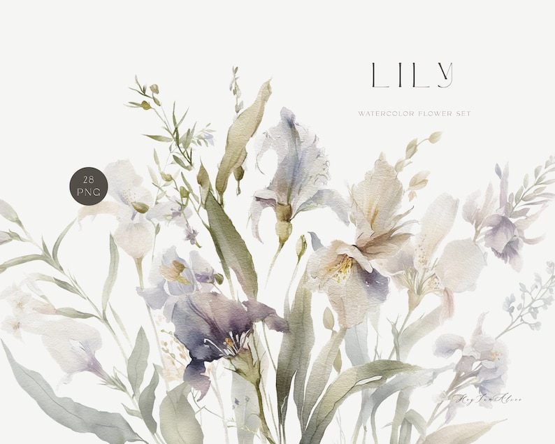 Soft Bloom Lily Flower Watercolor Clipart, Glow Neutral Elegant Floral ...
