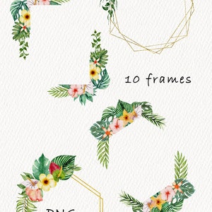 COMPLETE SET Tropical Jungle Flower Watercolor Clipart, Free Commercial ...