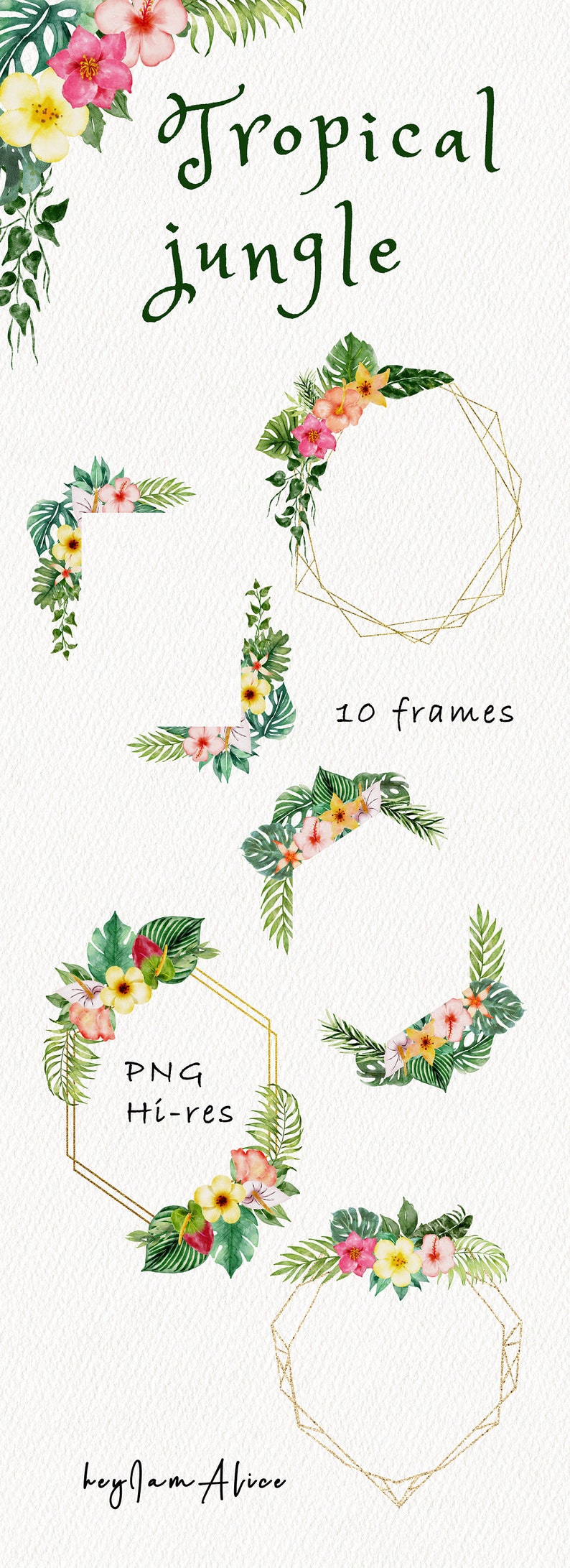 COMPLETE SET Tropical Jungle Flower Watercolor Clipart Free | Etsy