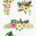COMPLETE SET Tropical Jungle Flower Watercolor Clipart, Free Commercial ...