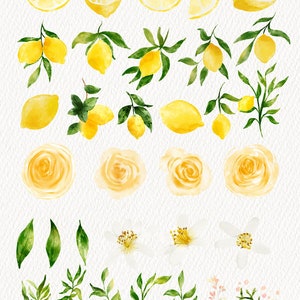 Watercolor Lemon Clipart, Yellow Green Fruit Citrus Lemon Clipart, FREE ...