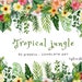 COMPLETE SET Tropical Jungle Flower Watercolor Clipart, Free Commercial ...