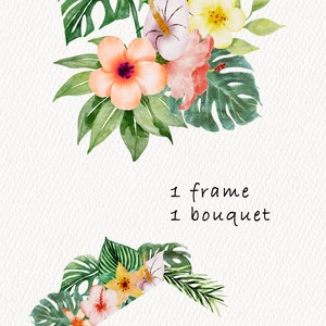 DIY Set Tropical Jungle Flower Watercolor Clipart, Free Commercial Use ...