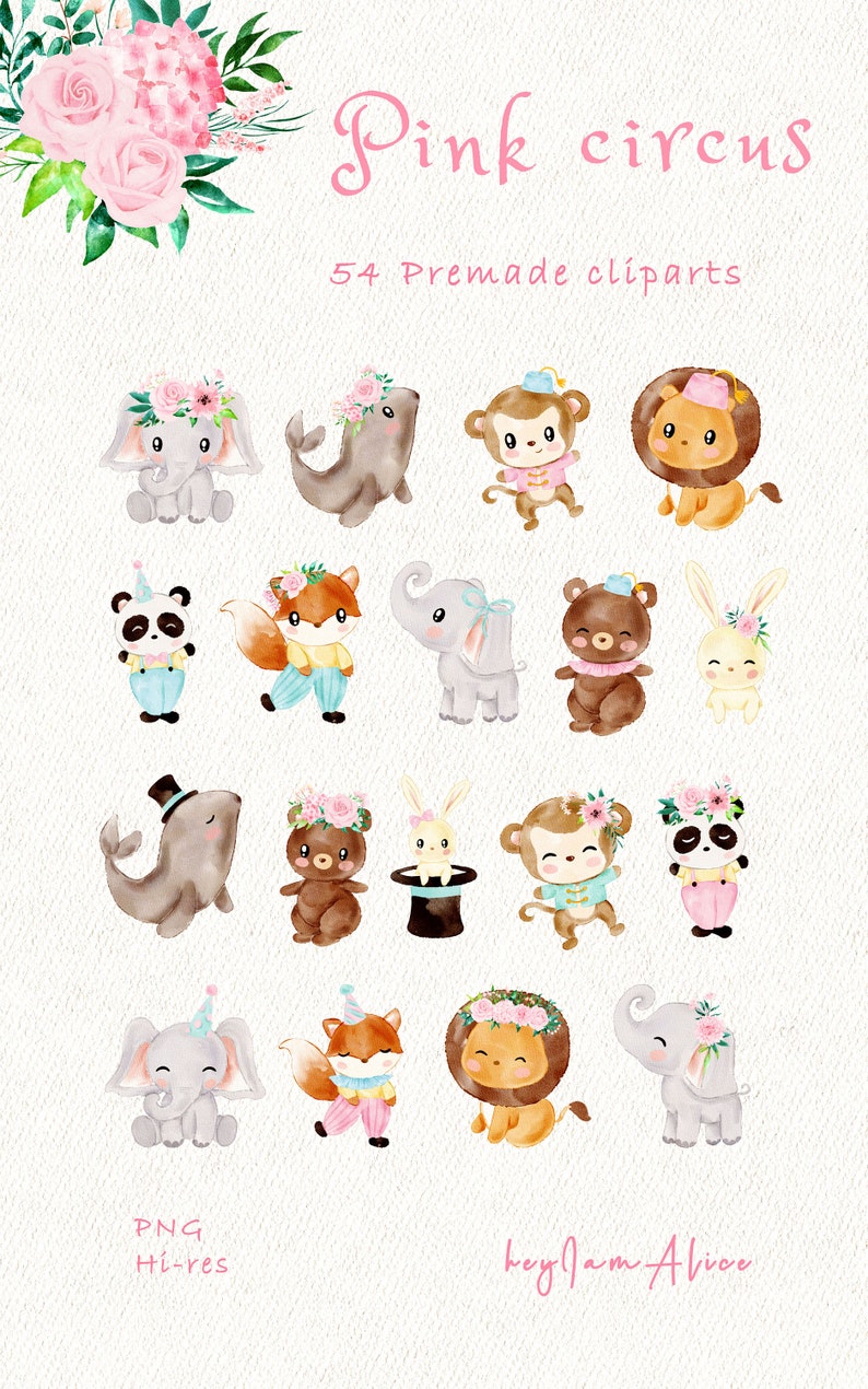 Circus Watercolor Clipart Pink Circus Graphics Baby Animal - Etsy