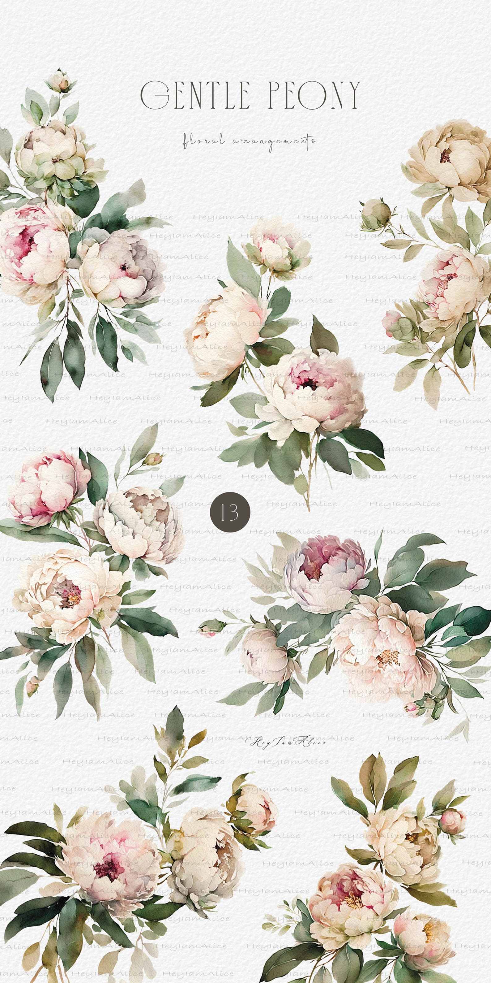 Pink Peony Flower Watercolor Clipart, Soft Pink Delicate PNG, Floral ...