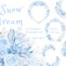 Blue Floral Watercolour Clipart Winter Flower PNG Blue Snow - Etsy