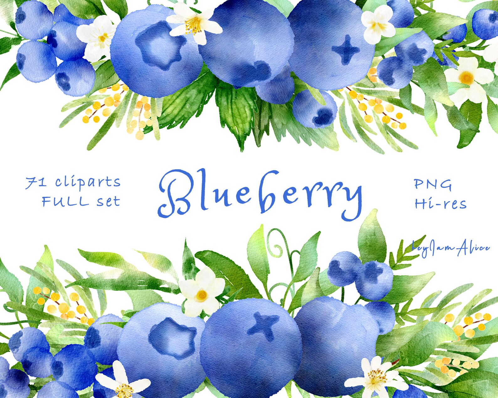 Watercolor Blueberry Clipart Wild Blueberry Clipart Png FREE | Etsy