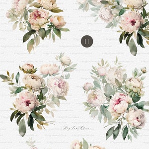 Pink Peony Flower Watercolor Clipart, Soft Pink Delicate PNG, Floral ...