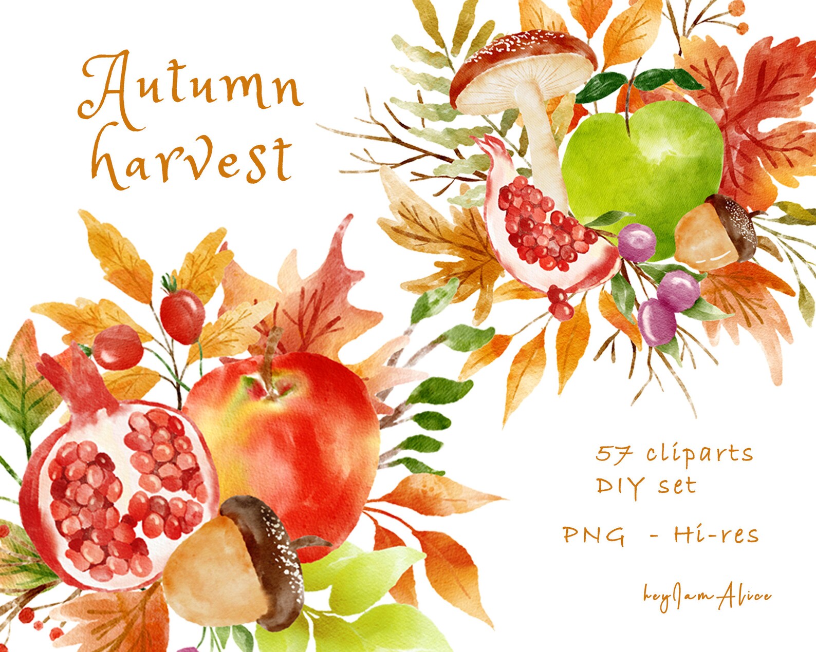 Watercolor Autumn Clipart Fall Clipart FREE COMMERCIAL Use - Etsy