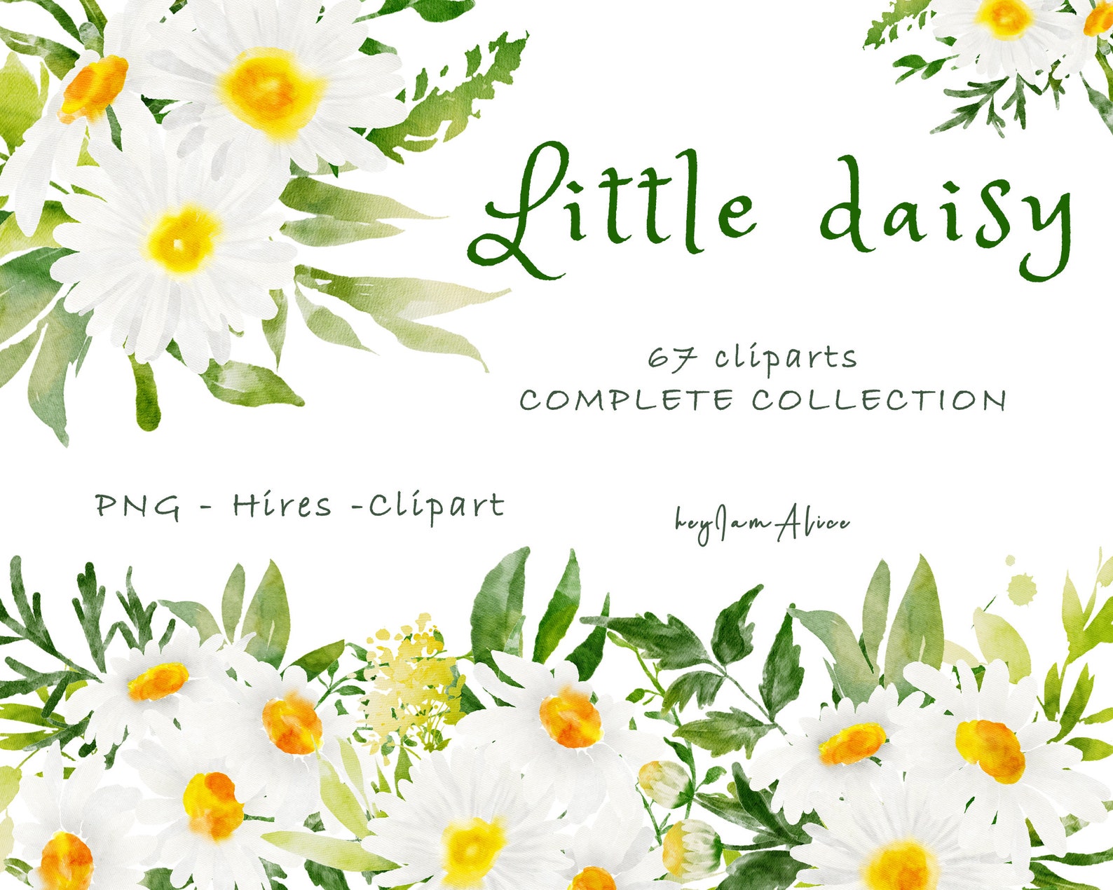 DAISY Floral Watercolor Clipart, Complete Collection, FREE Commercial ...