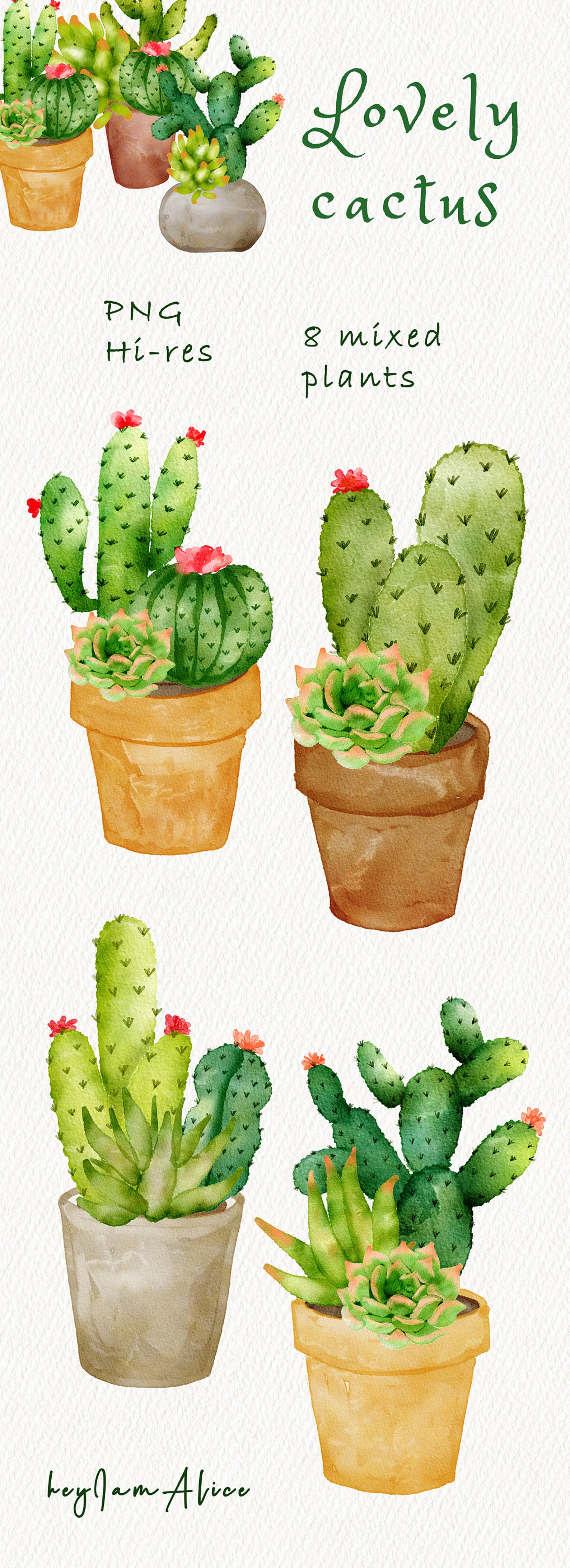 Watercolor Cactus Clipart FREE COMMERCIAL Use Tropical - Etsy